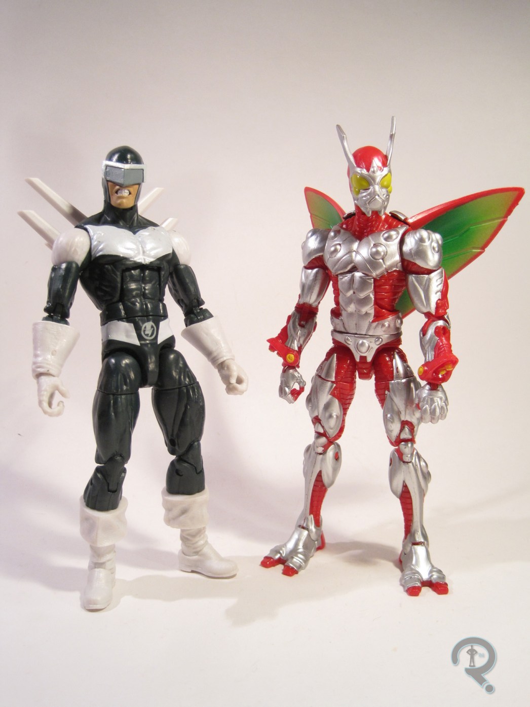 Beetle | The Figure In Question
