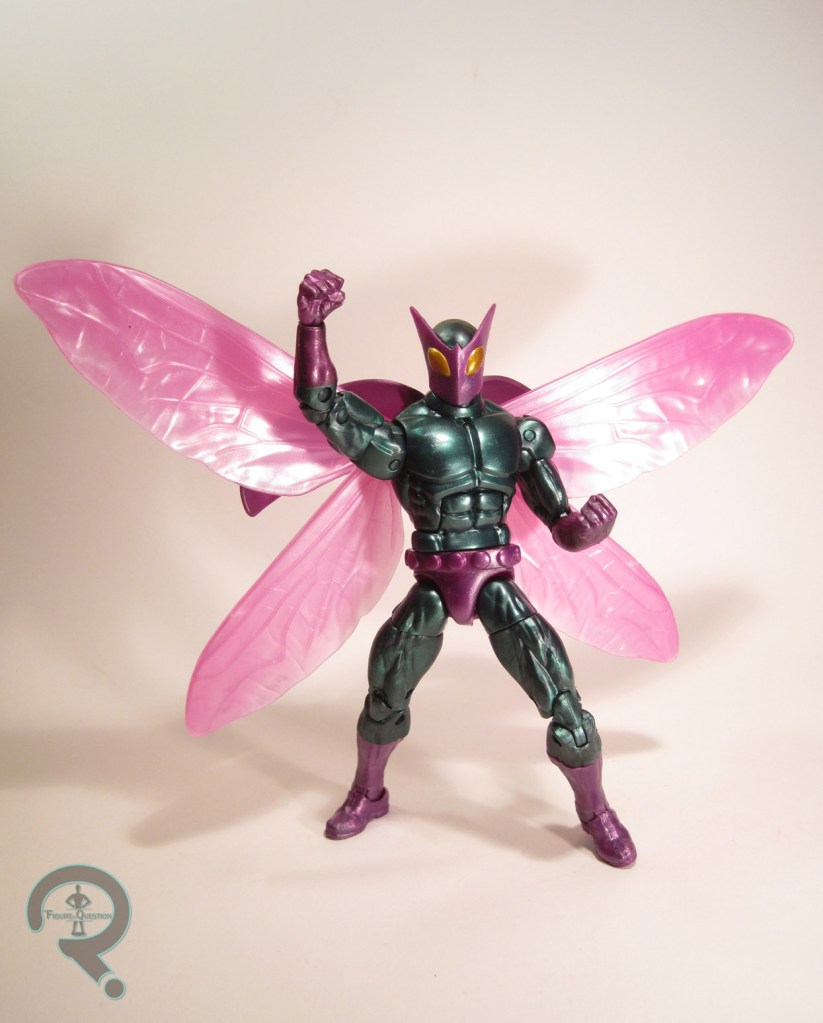 Beetle | The Figure In Question